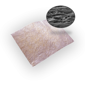 Vetrix Shop – The Leading Provider of Veterinary Regenerative Medicine